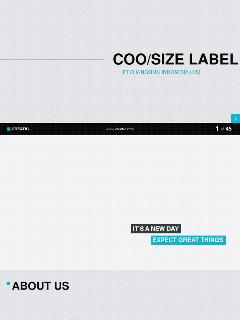 Coo/Size Label: PT Changshin Indonesia (JJS) | PDF | Computing