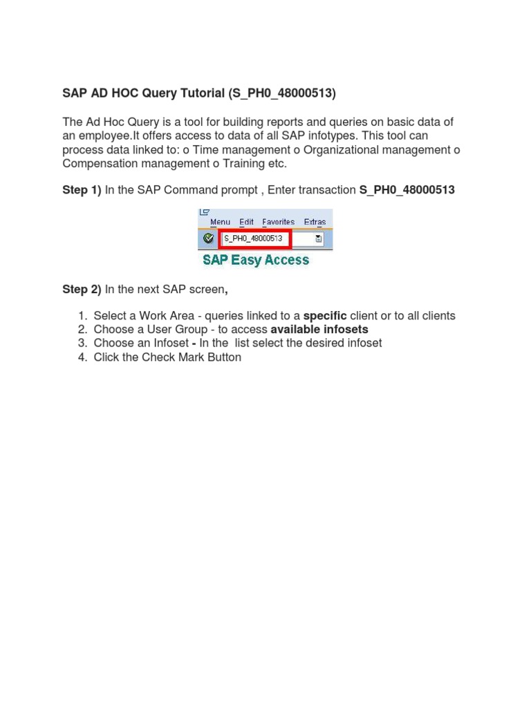 SAP Ad-Hoc Query | PDF | Information Retrieval | Command Line Interface