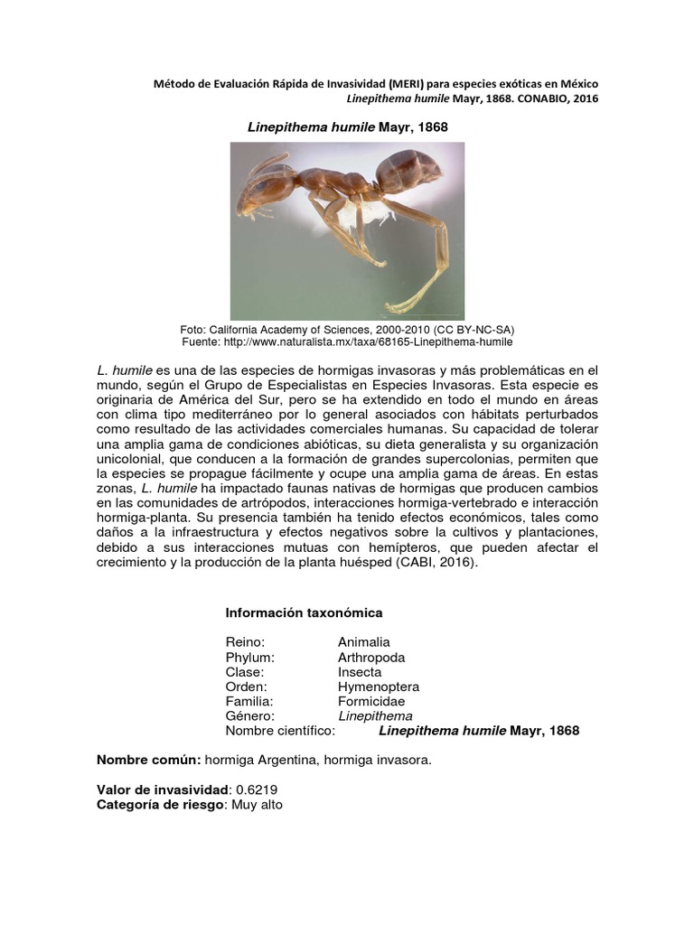 Linepithema Humile | PDF | Especies invasivas | Hormiga