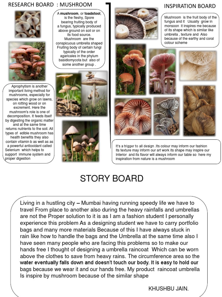 Mushroom Boards | PDF | Mushroom | Fungus