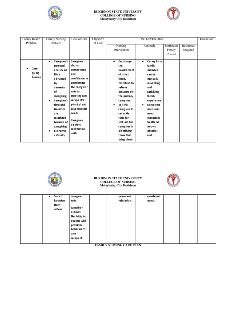 FNCP Format | PDF | Caregiver | Nursing