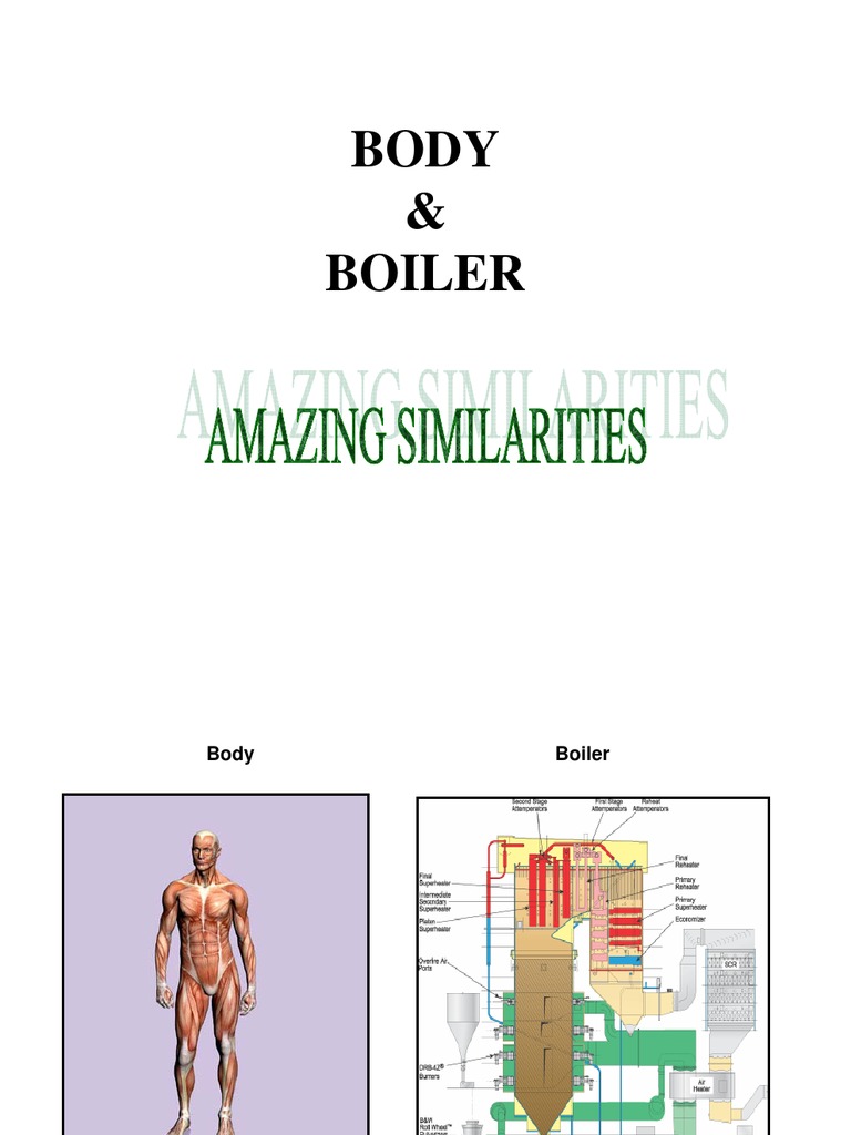 Body & Boiler | PDF | Boiler | Human Body