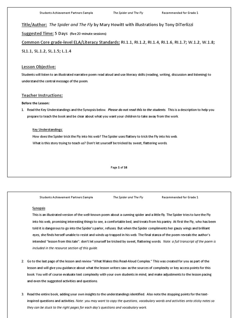 RAP Example Lessons Combined | PDF | Spider Web | Vocabulary