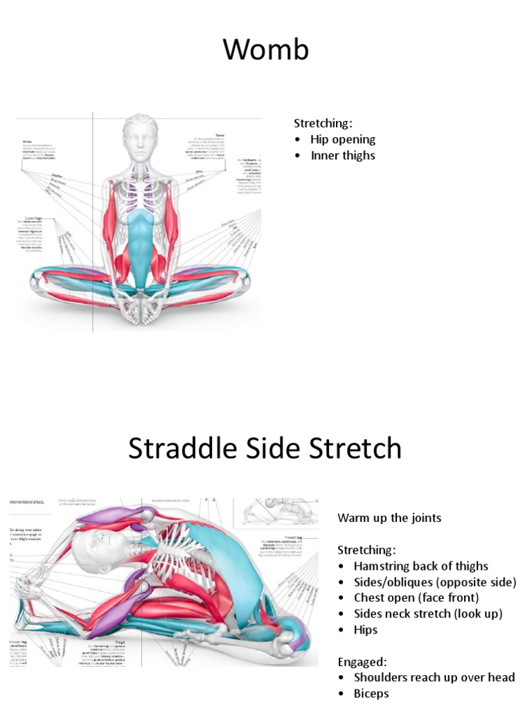 Presentation 1 | PDF | Musculoskeletal System | Dance Science