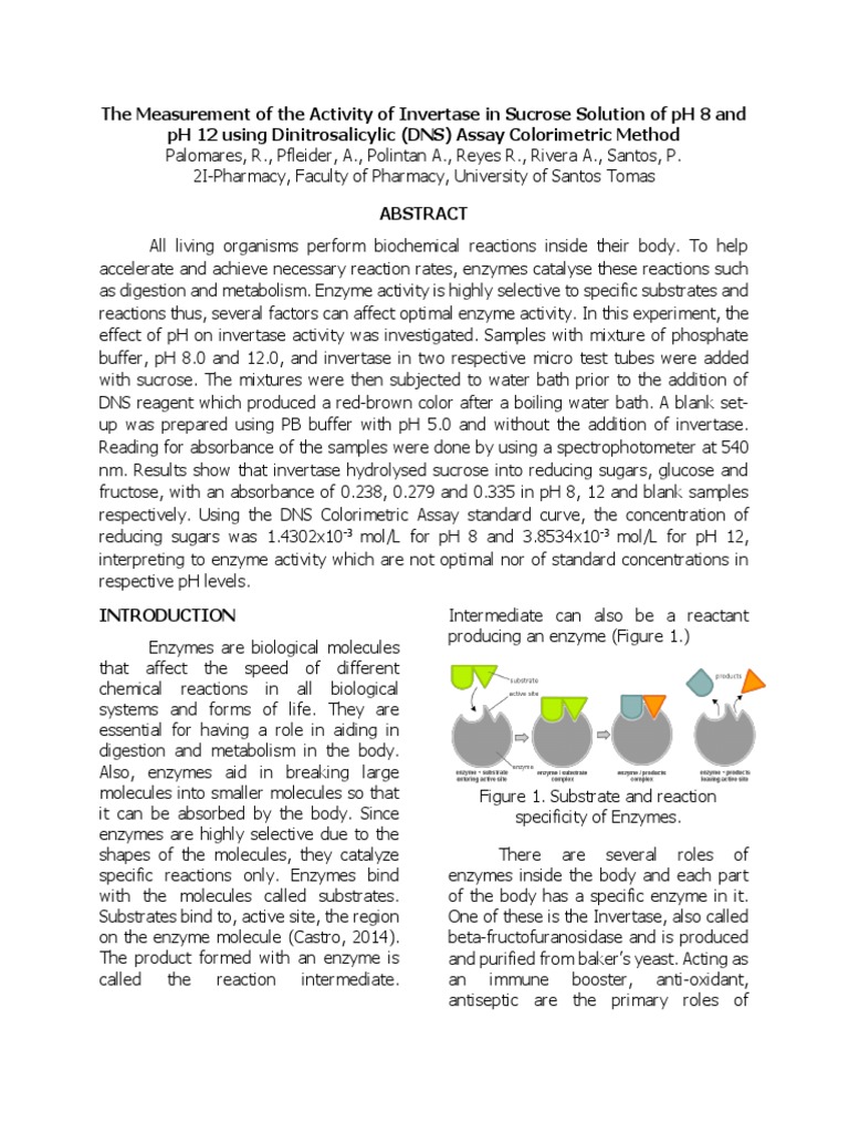 Final Formal Report Exp 3 PDF | PDF | Ph | Enzyme Final Formal Report Exp 3 PDF | PDF | Ph | Enzyme