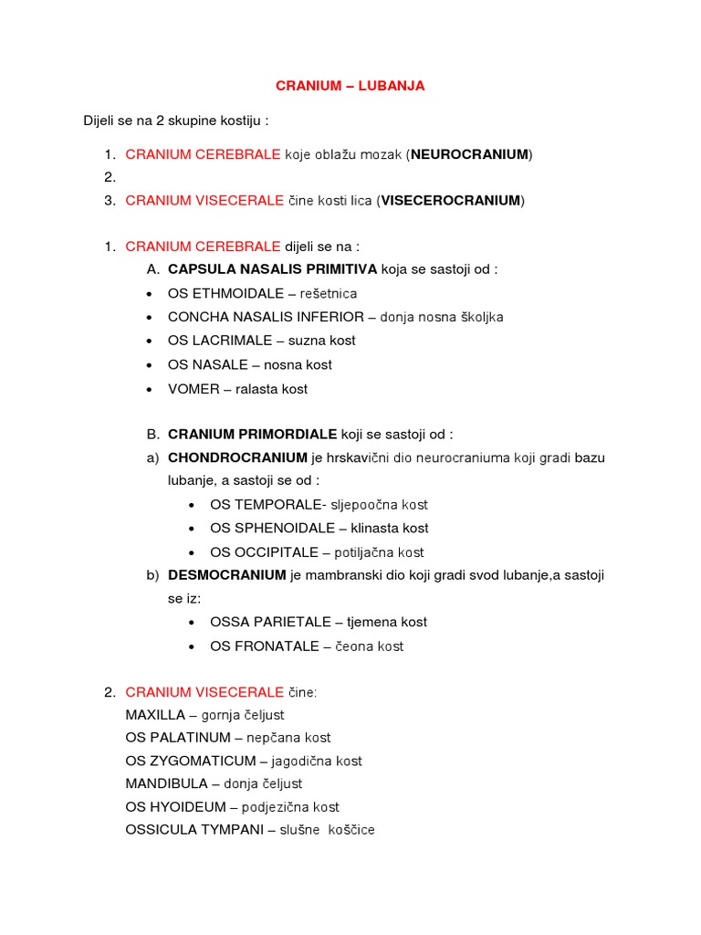 Anatomija - Skripta | PDF