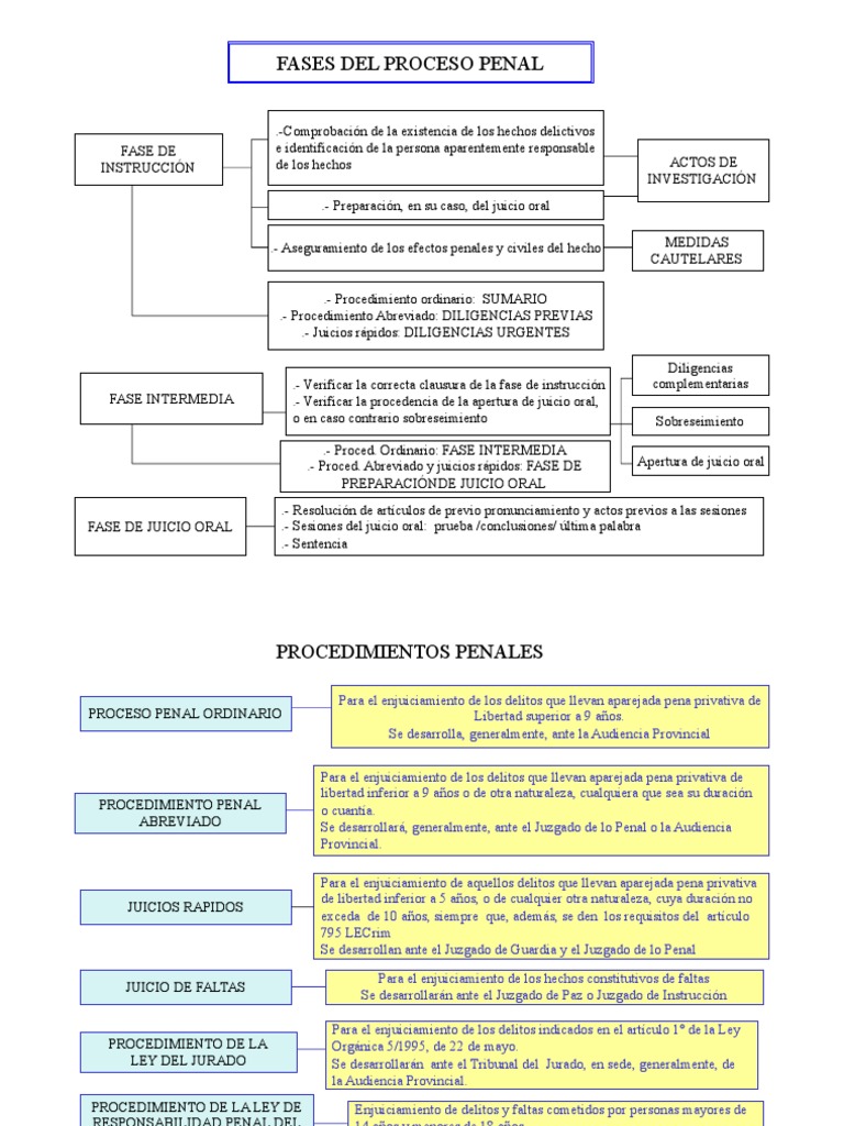 Esquemas Procesal PENAL | Competencia (ley) | Instituciones gubernamentales