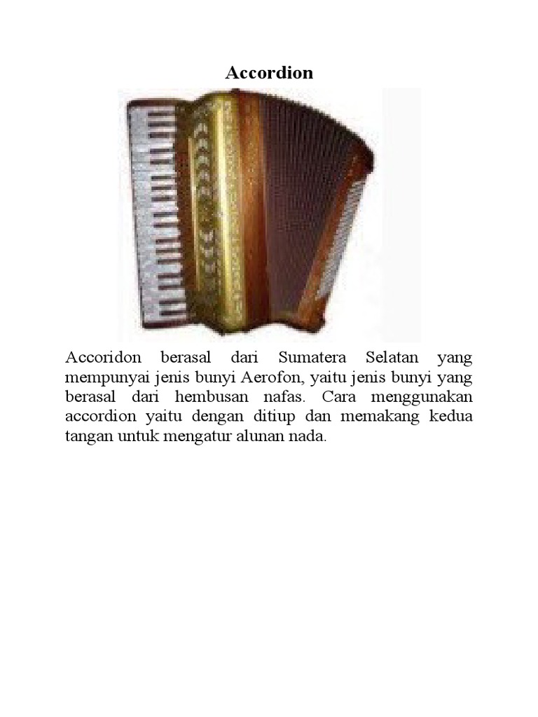 Alat Musik Tradisional Sumatera Selatan Accordion