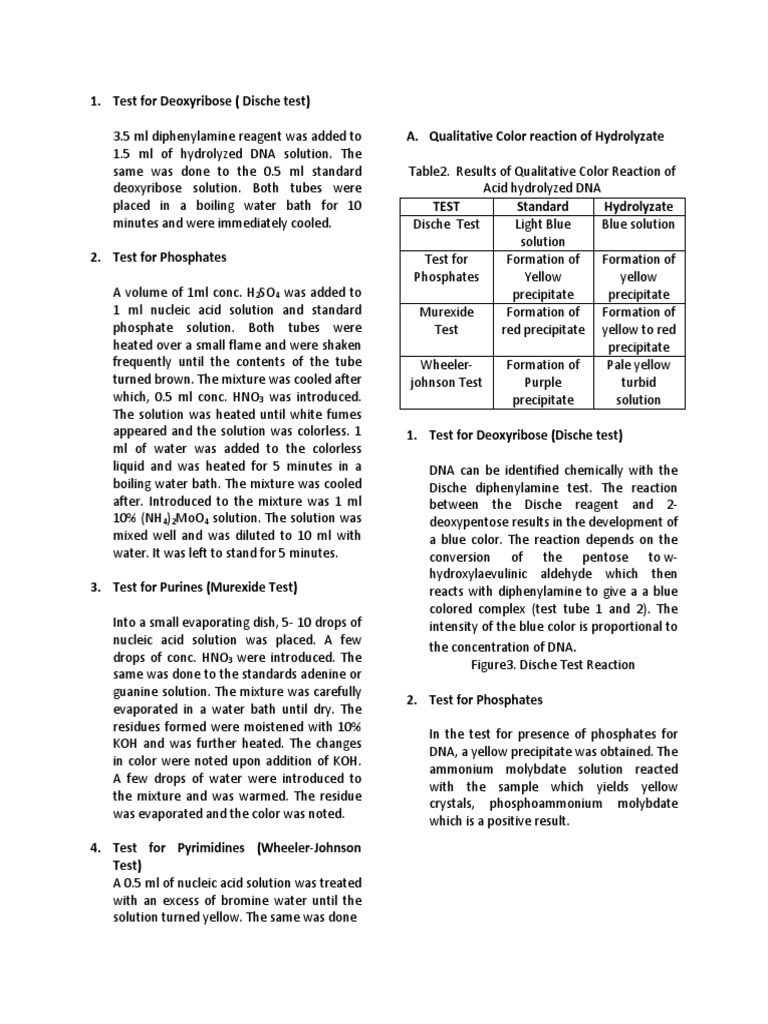 Purine and Nucleic Acid Tests | PDF | Precipitation (Chemistry ...