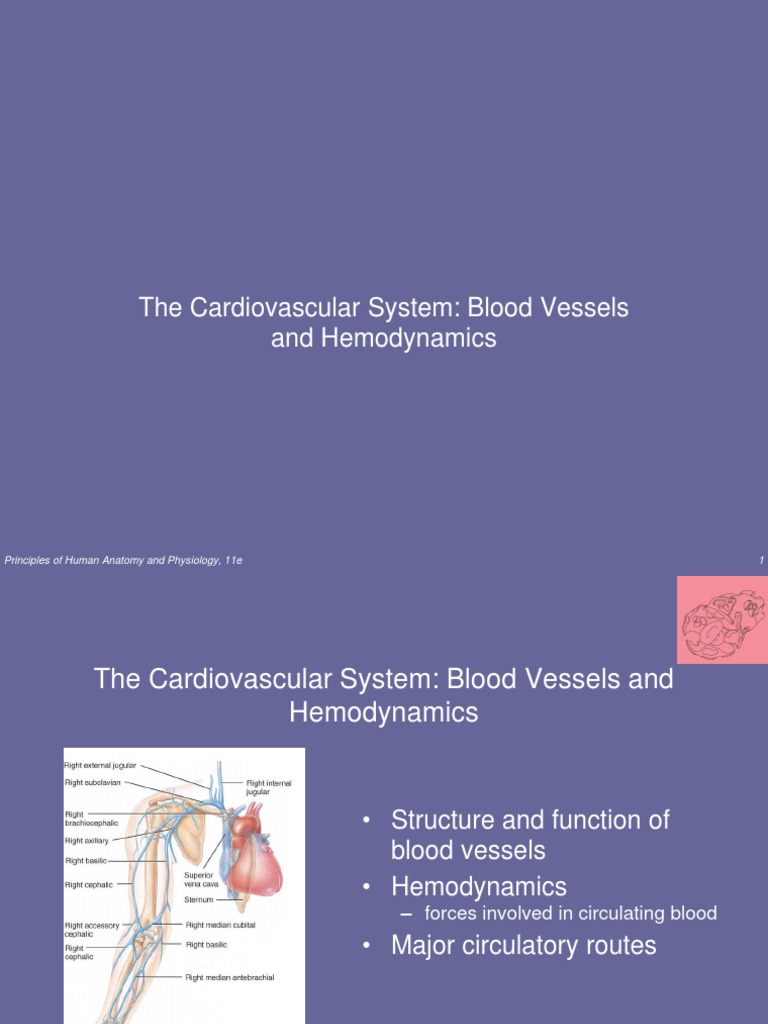 The Cardiovascular System: Blood Vessels and Hemodynamics: Principles ...