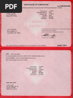 Indiana Supervised Driving Log Form | PDF