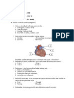 Latihan Soal Sistem Pencernaan Manusia Kelas 8 | PDF | Kesehatan Holistik