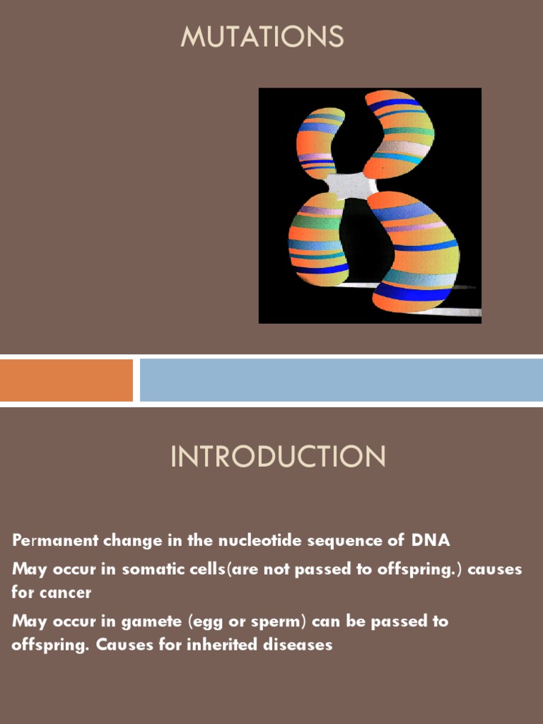 Mutations | PDF | Point Mutation | Dominance (Genetics)
