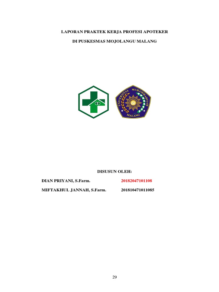 Contoh Laporan Pkpa Puskesmas | PDF