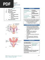 Parathyroid Gland | PDF | Parathyroid Gland | Diseases And Disorders