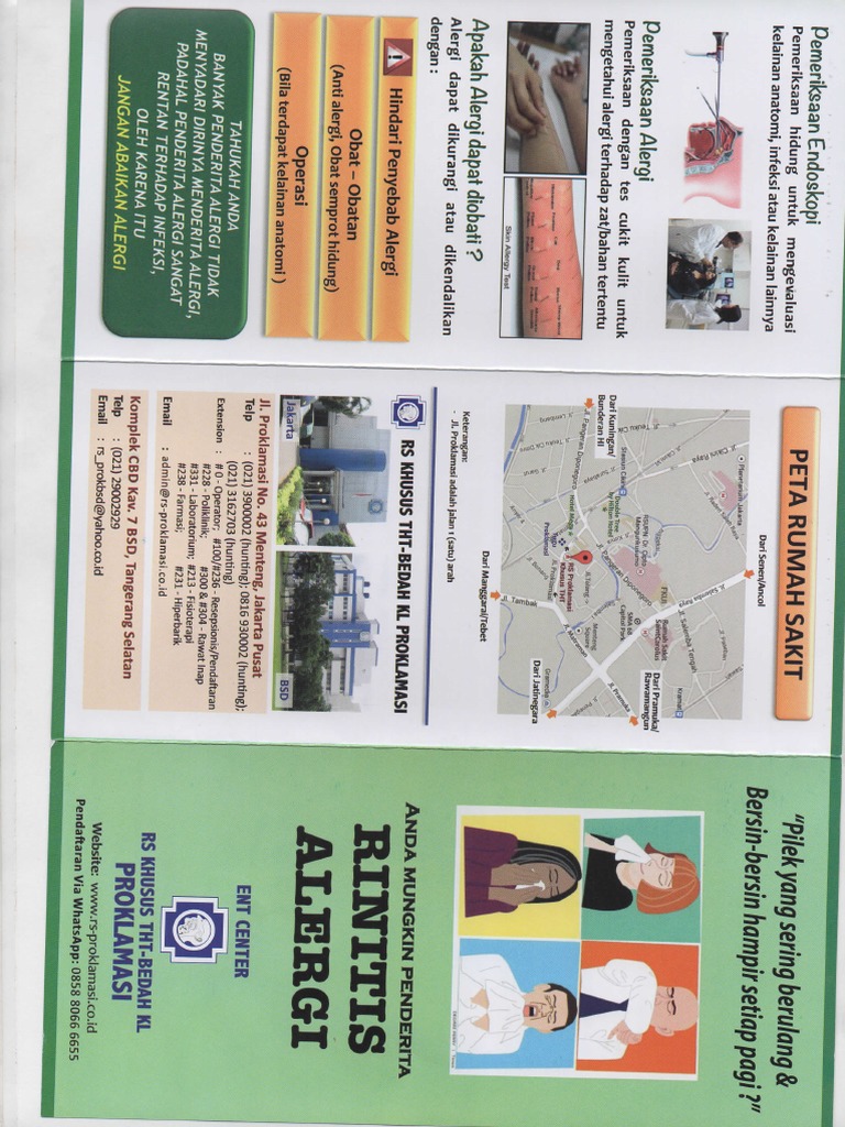 Leaflet Rhinitis Alergi | PDF