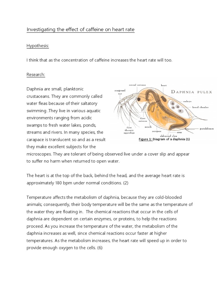 The Effect of Increasing Caffeine Concentrations on the Heart Rate of ...