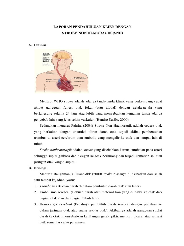 Laporan Pendahuluan Stroke Non Hemoragik | PDF