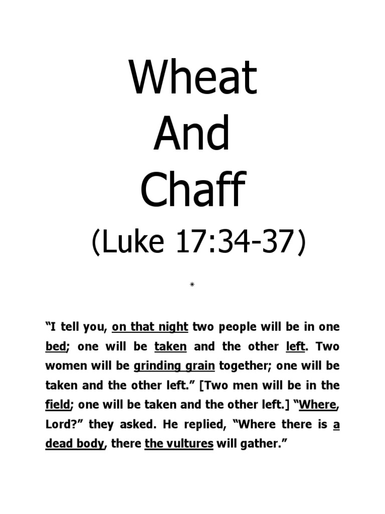 Wheat and Chaff | PDF | John The Baptist | Christianity