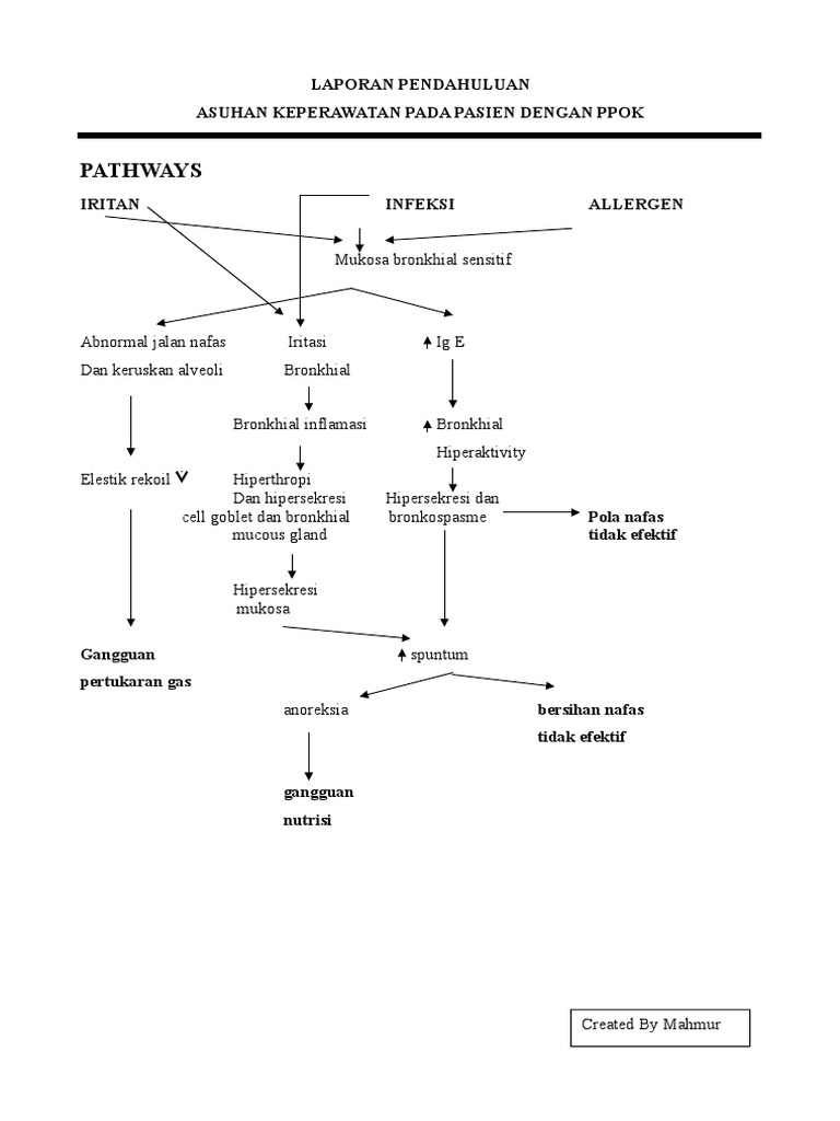 Pathways PPOK | PDF