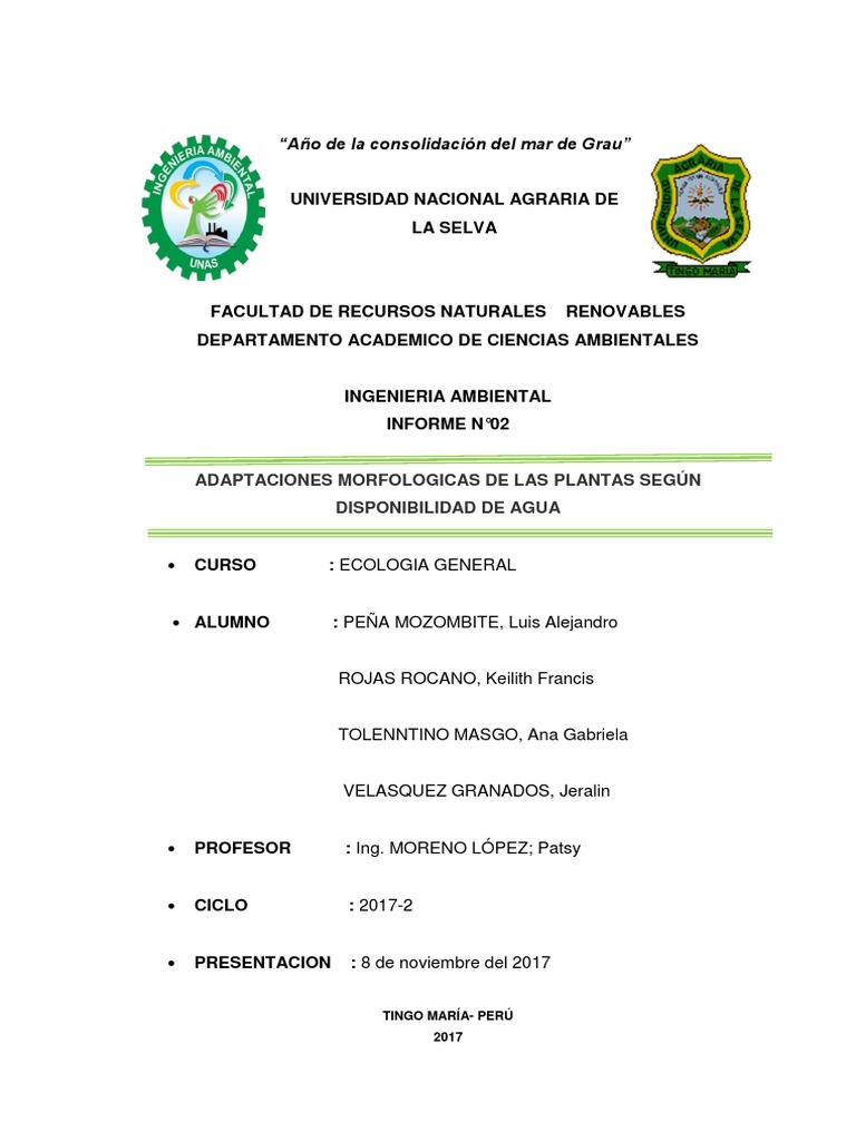 Oiuytre | PDF | Estoma | Hoja