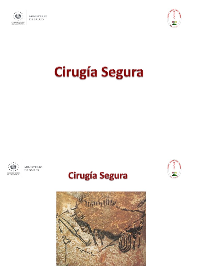 Cirugia Segura Pdf Cirugía Salud Pública