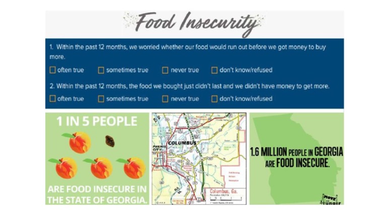 Food Insecurity Questionnaire | PDF