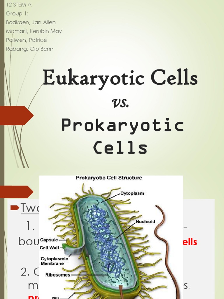 General Biology 1: Prokaryotes vs. Eukaryotes | PDF | Prokaryote | Cell ...