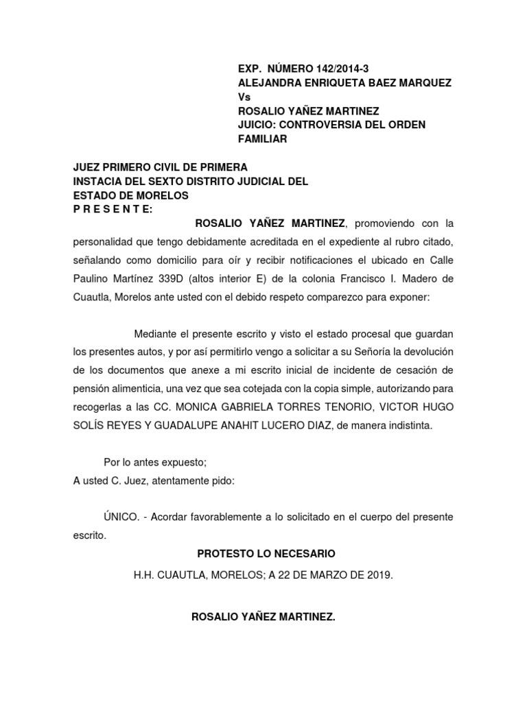 Solicitud de Devolucion de Documentos Al Juzgado | PDF