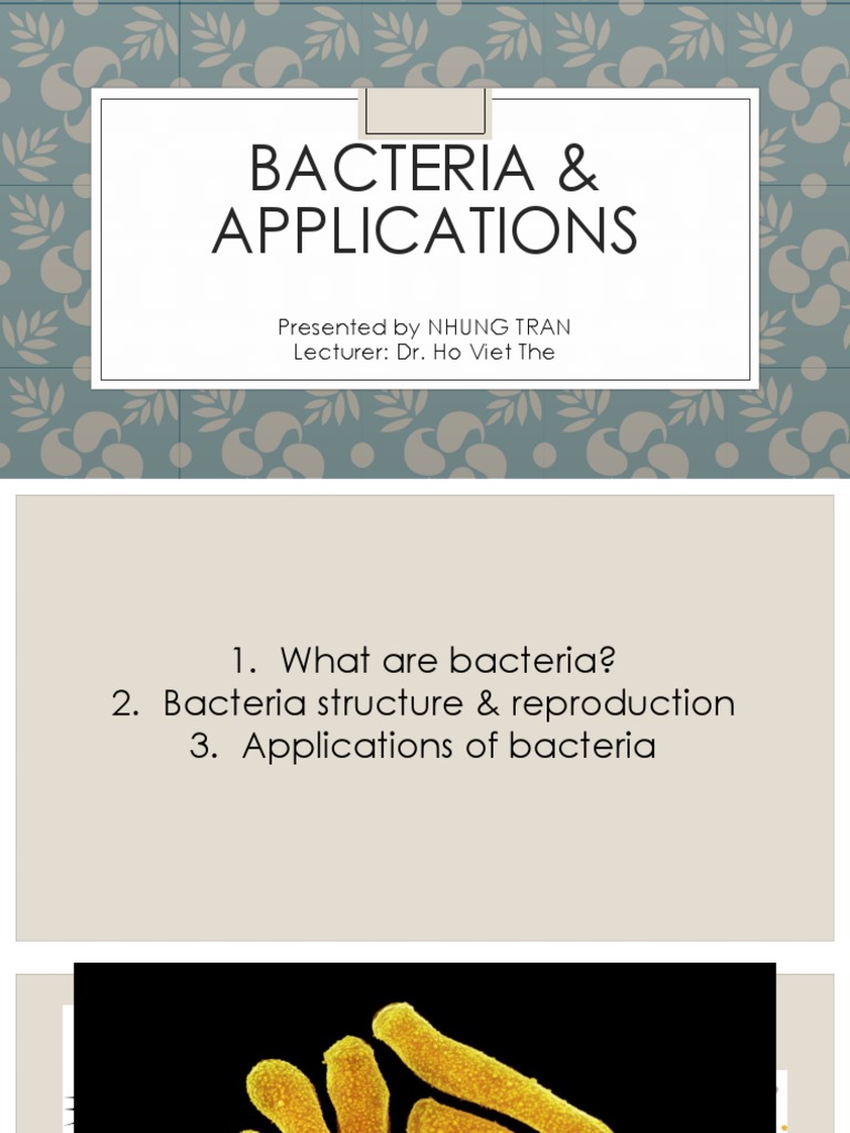 Bacteria & Applications: Presented by NHUNG TRAN Lecturer: Dr. Ho Viet ...
