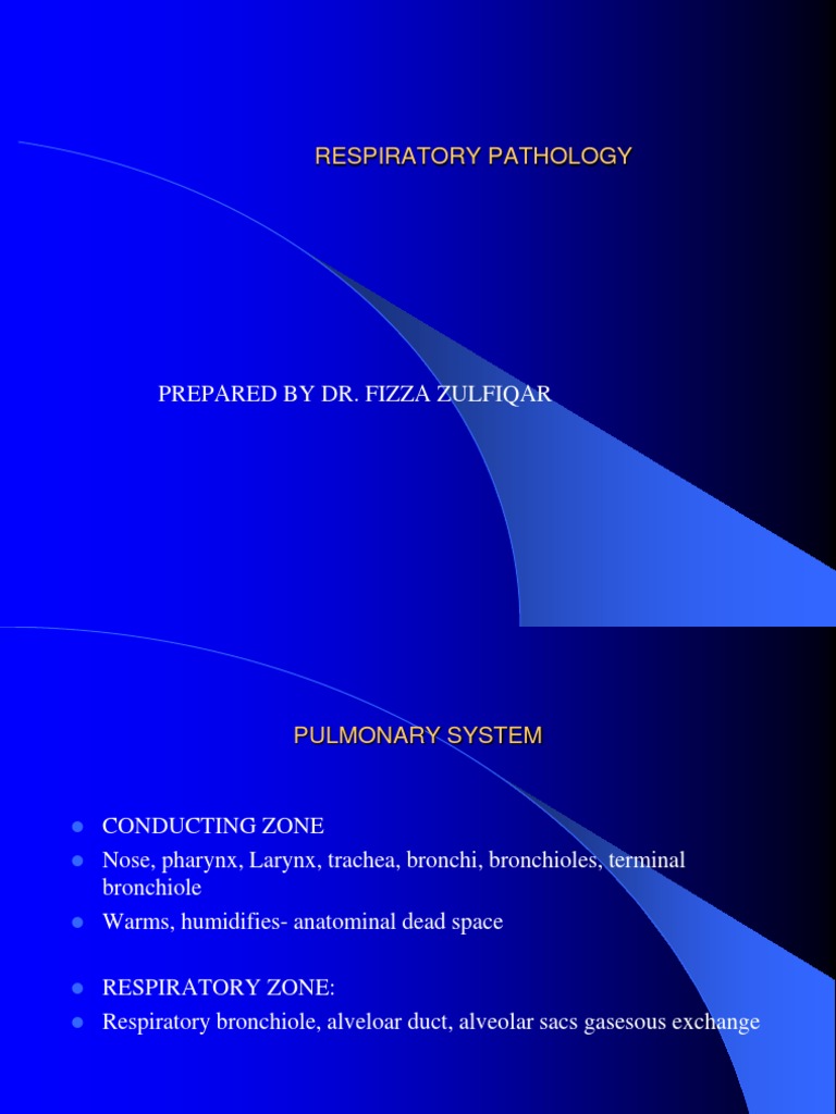 Pathology of The Respiratory System | PDF | Respiratory Tract | Lung