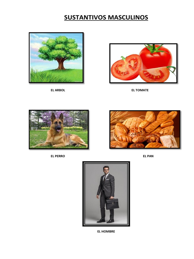 Sustantivos Masculinos | PDF