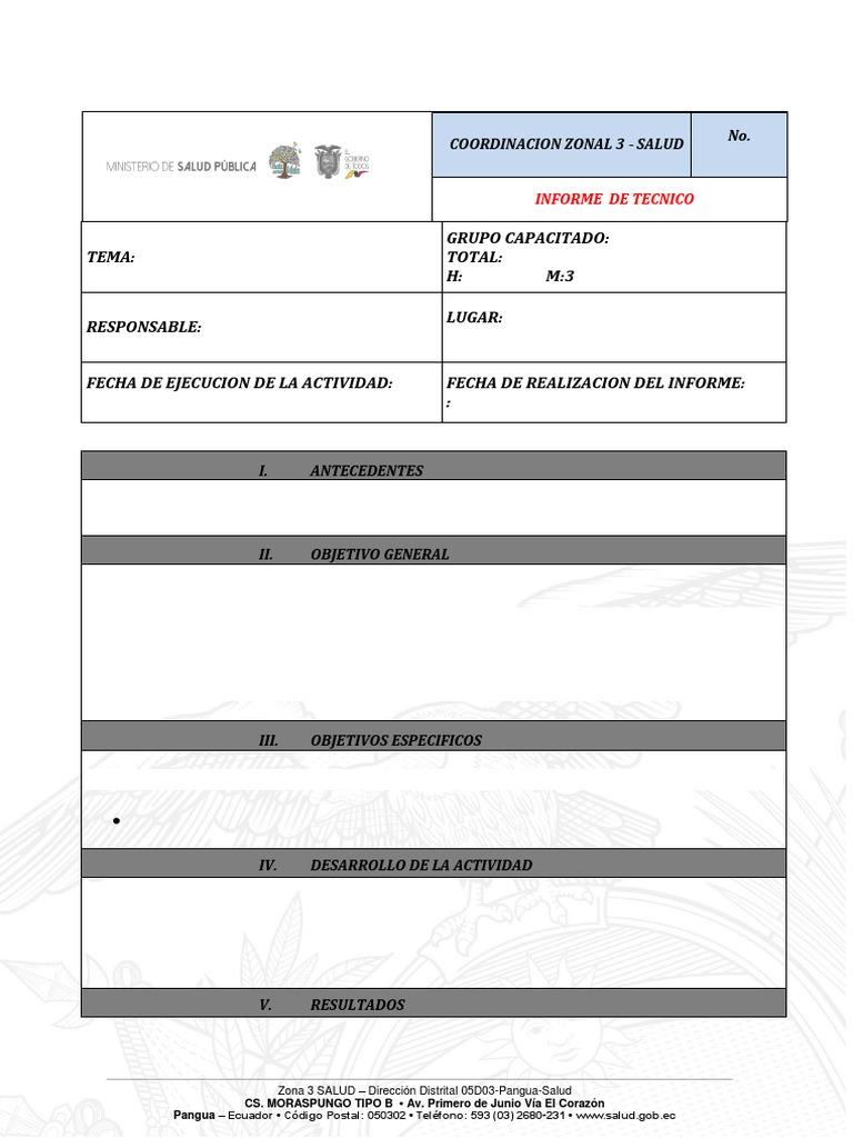 Modelo de Informe Tecnico Actualizado 2019 | PDF
