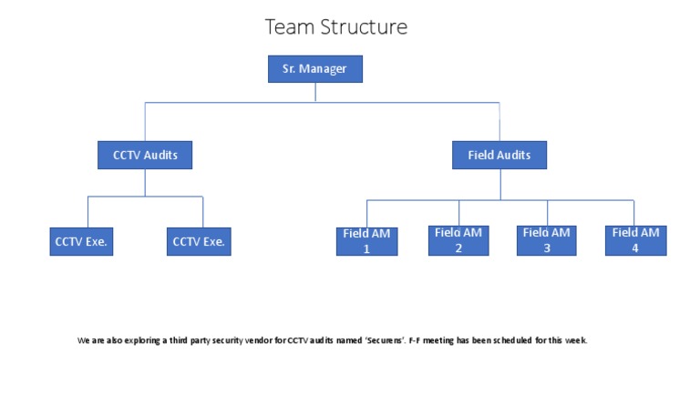Security Audit Team Structure | PDF