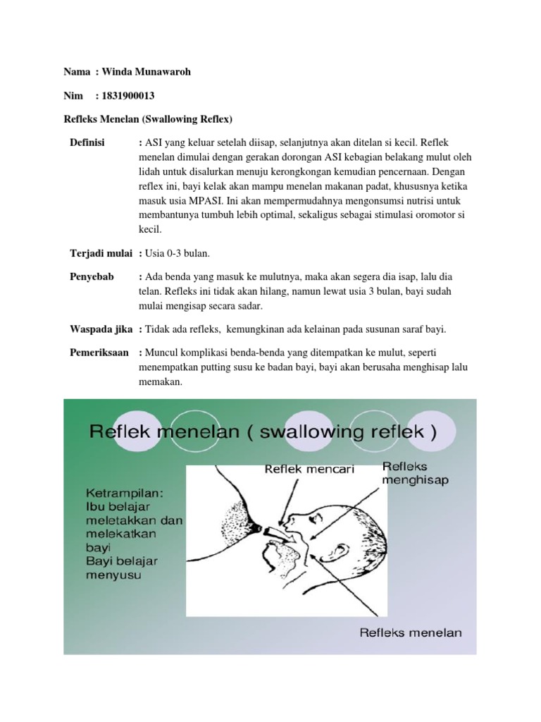 Swallowing Reflex Adalah Refleks Gerakan Menelan Benda-1 | PDF
