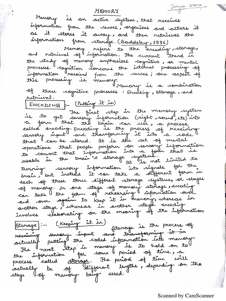 Notes On Memory - Psychology | PDF