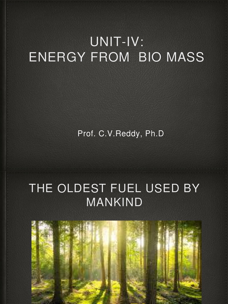 Biomass Energy: Sources and Technologies | PDF | Anaerobic Digestion ...