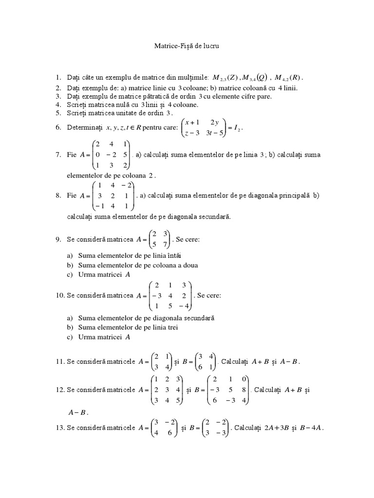 Fisa de Lucru Matrici | PDF