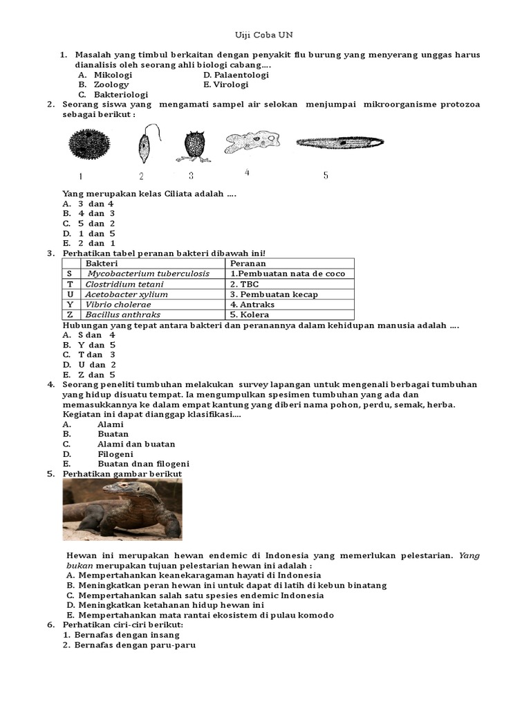 Soal Biologi-To1 Paket E | PDF | Sains & Matematika