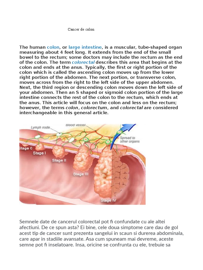 Colon Large Intestine: Colorectal | PDF | Colorectal Cancer ...