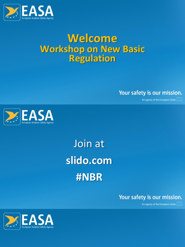 Workshop On New Basic Regulation | PDF | Aviation | Aerospace