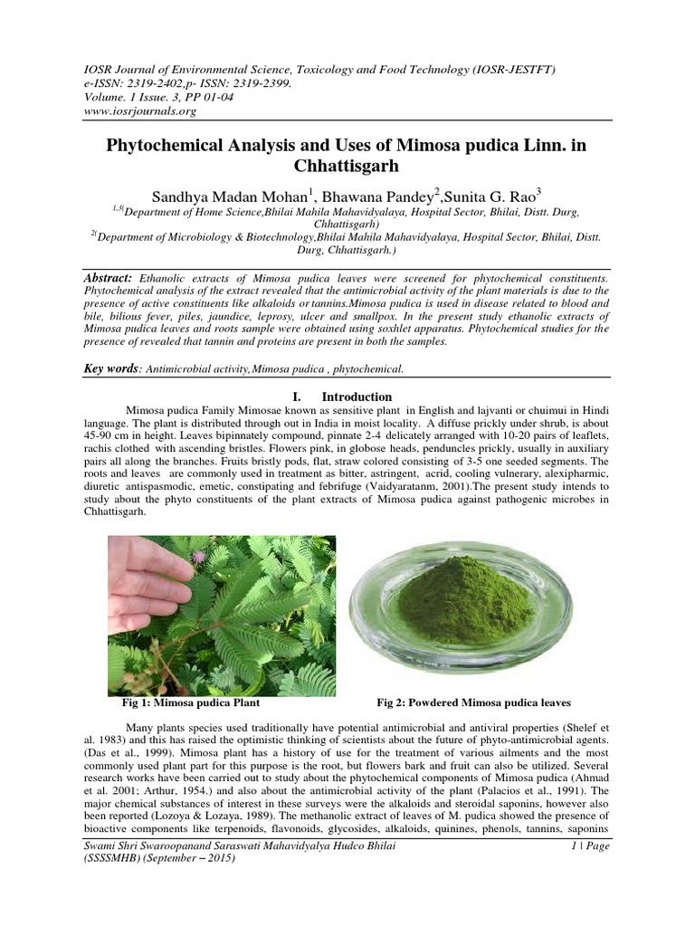 Phytochemical Analysis and Uses of Mimosa pudica Linn | PDF | Nature