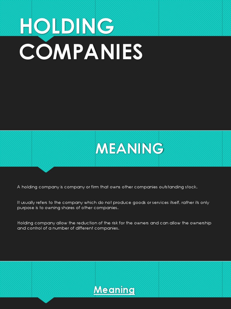Understanding Holding Companies | PDF | Holding Company | Stocks