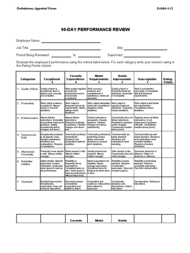 90 Day Performance Review PDF Performance Appraisal Applied 
