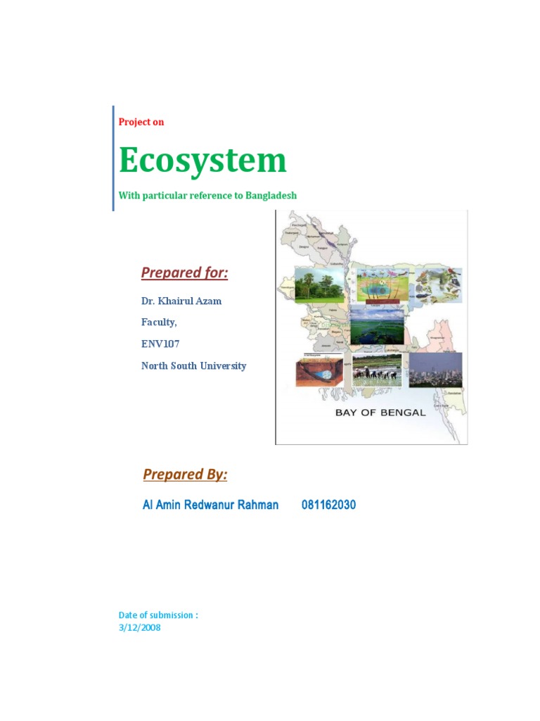 Project On Ecosystem | PDF | Ecosystem | Organic Matter