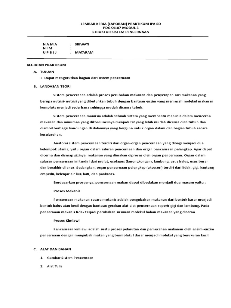 Praktikum Ipa Modul 3 Kp 3 Sistem Pencernaan Pdf - Riset