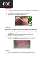 Insect Bites: Safety and Prevention Tips | PDF | Medical Specialties