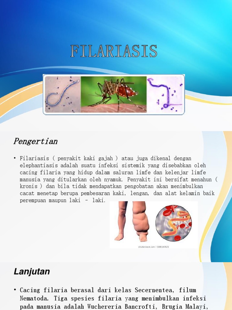 Cacing Filaria