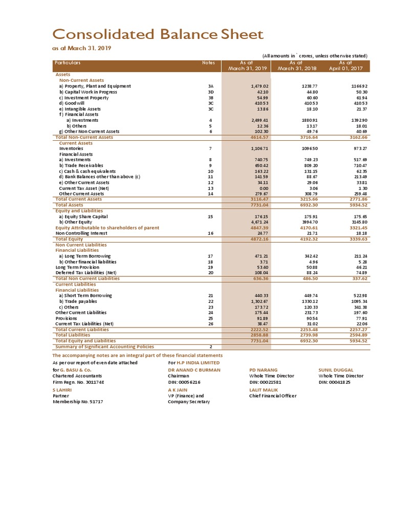 Consolidated Balance Sheet: As at March 31, 2019 | PDF | Equity ...
