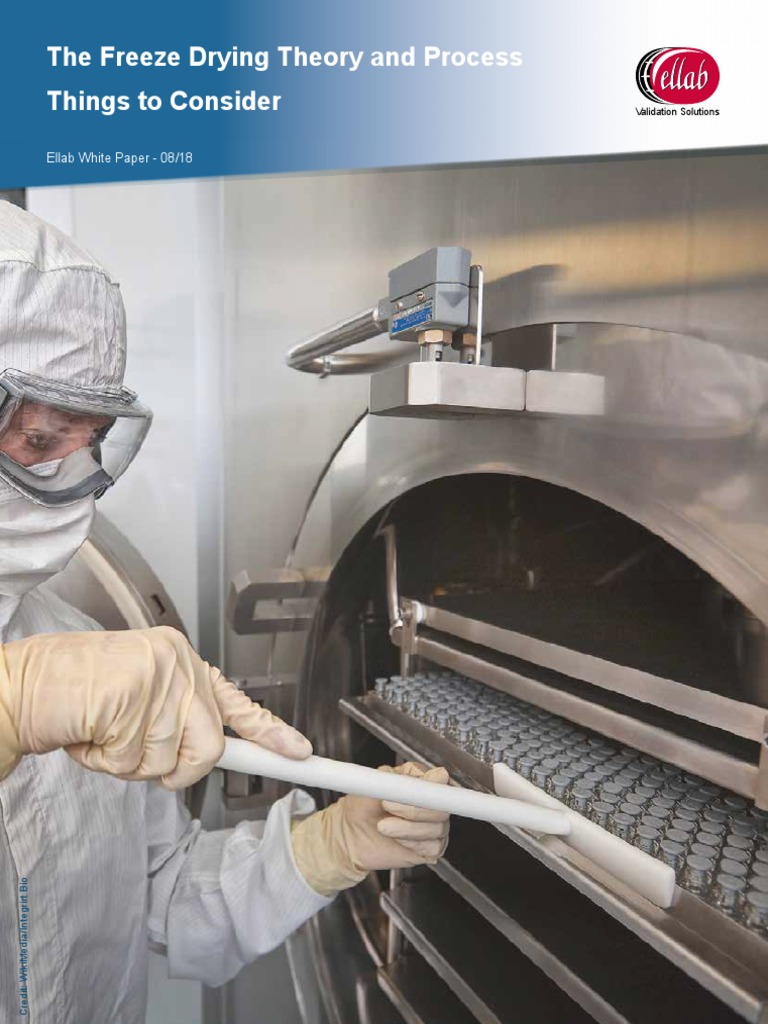 The Freeze Drying Theory and Process Ellab Whitepaper | PDF | Freeze ...